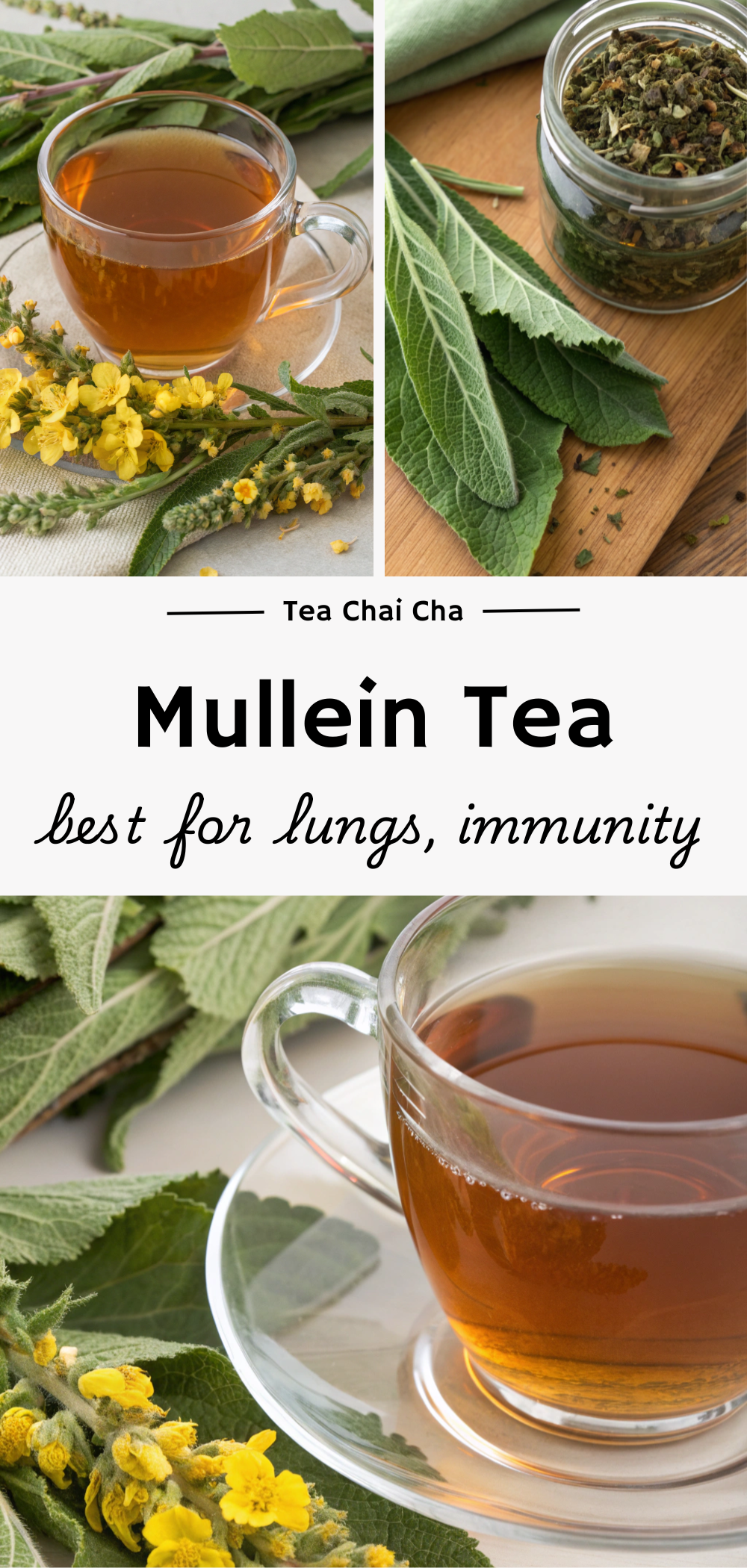 How to Make Mullein Tea (DIY Mullein Tea)